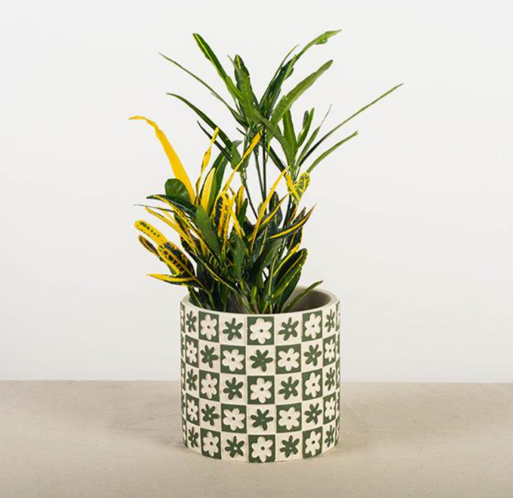 Checkers and Flowers Planter | Refined: Purveyors of Fine Goods